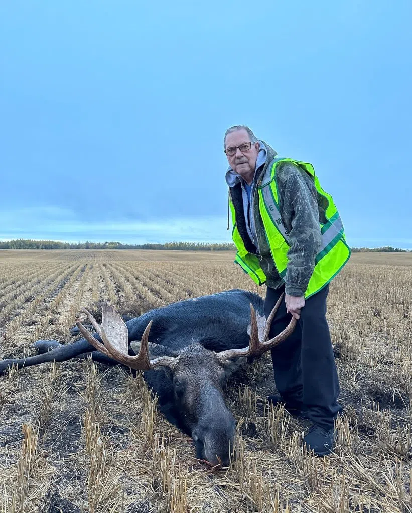 Brian Calvin George Harley | paNOW