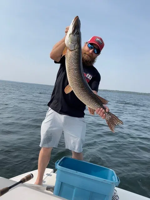 Clay Thomas Hodgson | paNOW