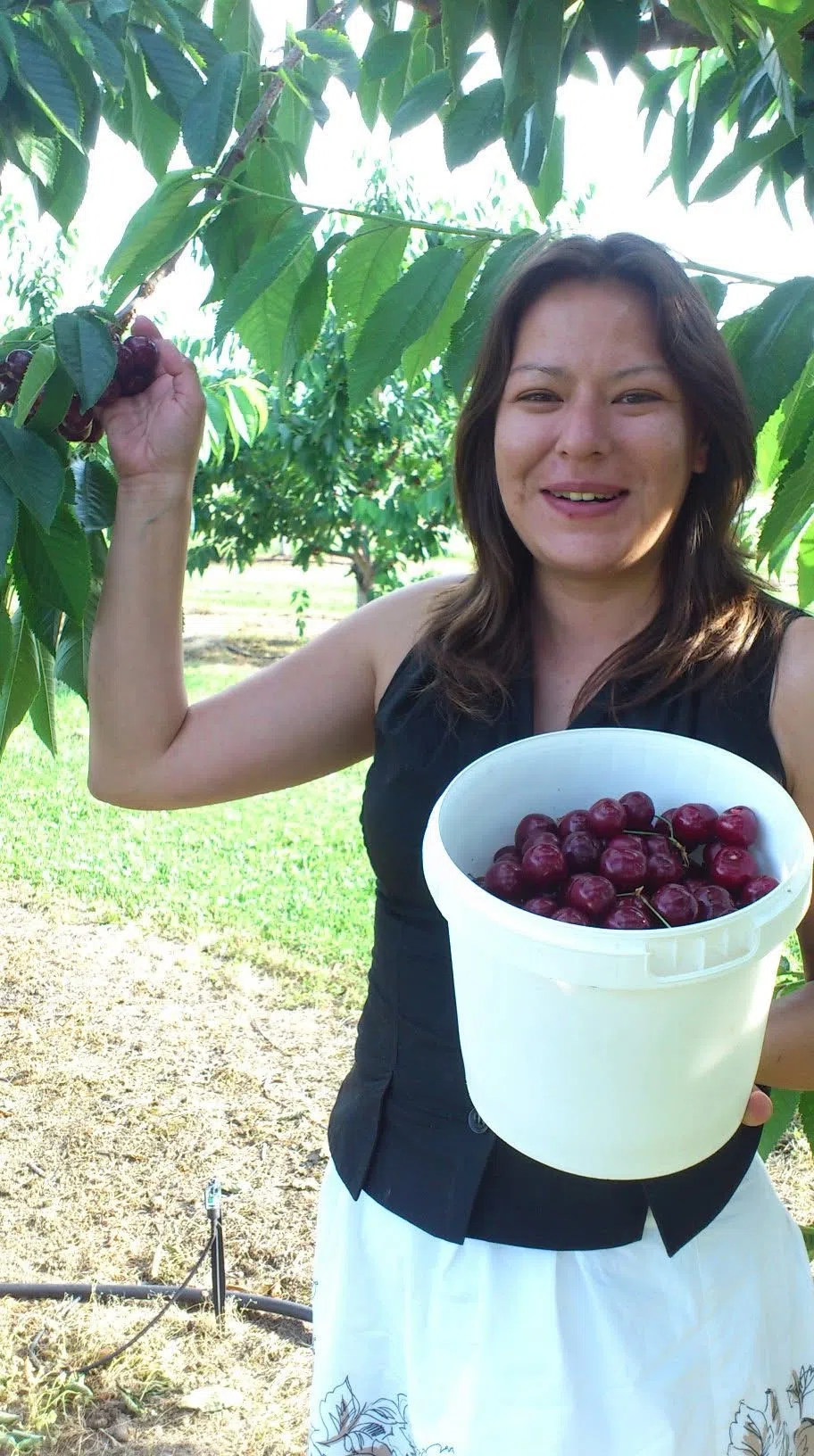 Tracey Pearl Cyprien (nee: Ahenakew) | paNOW