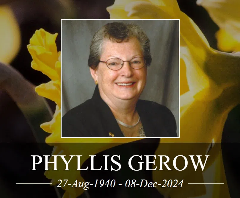 Phyllis Gerow | paNOW