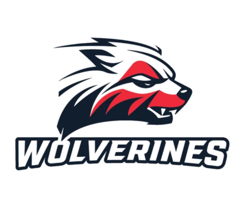 Warman Wolverines season ticket packages on sale | paNOW