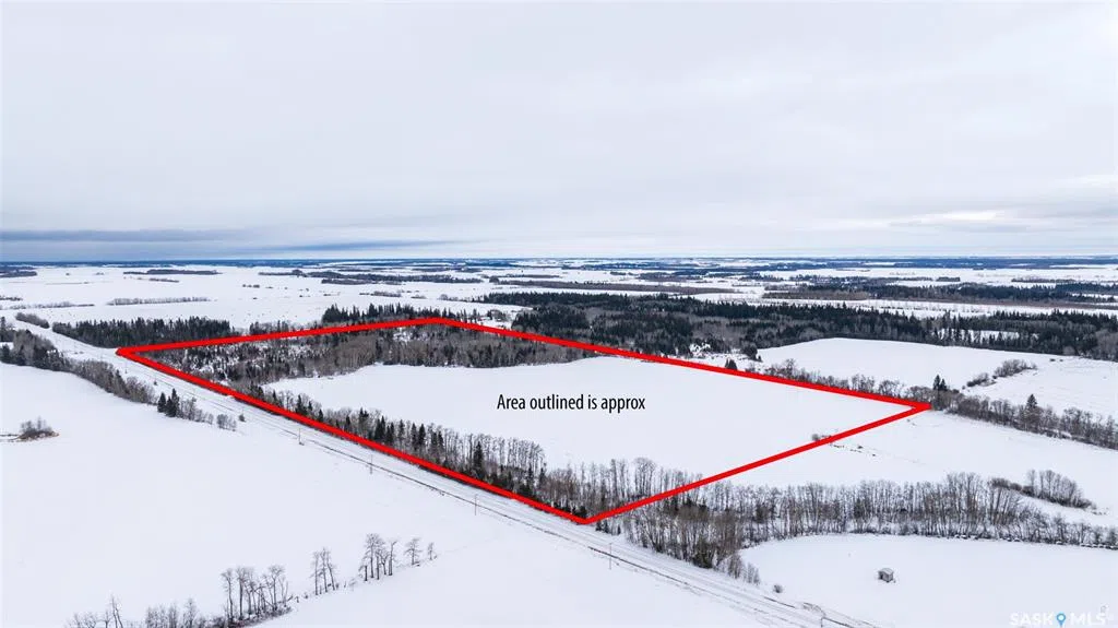 Kalyna Samburg Half | paNOW