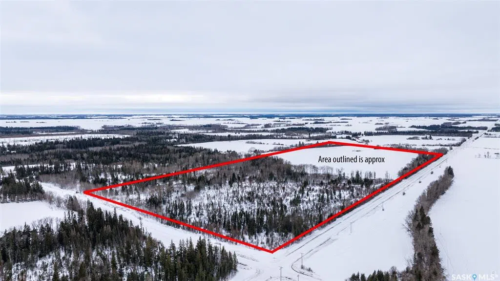 Kalyna Samburg Half | paNOW