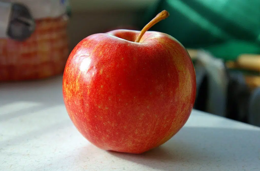 Brighton Applefest road closures next weekend | 91X FM CJLX