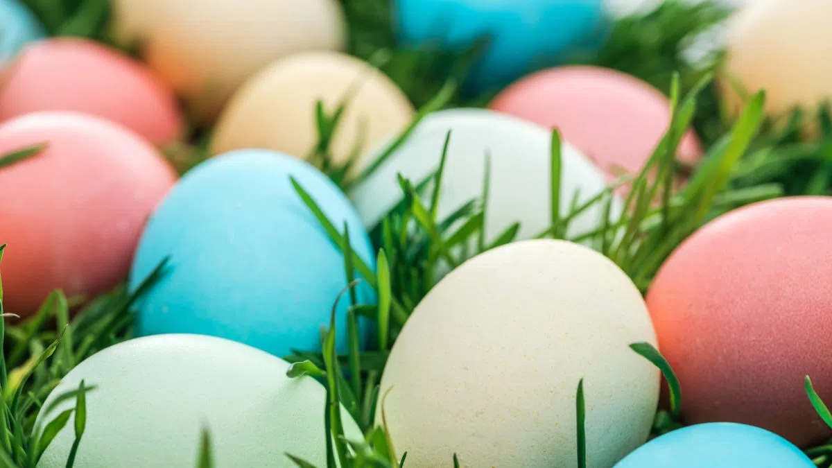 Batawa Lions Easter Egg Hunt set for April 19th | 91X FM CJLX