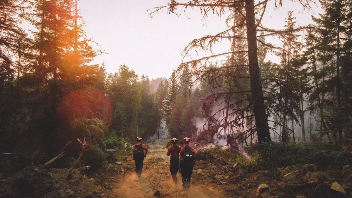 Firefighting crews from Australia and New Zealand on the way to help B ...