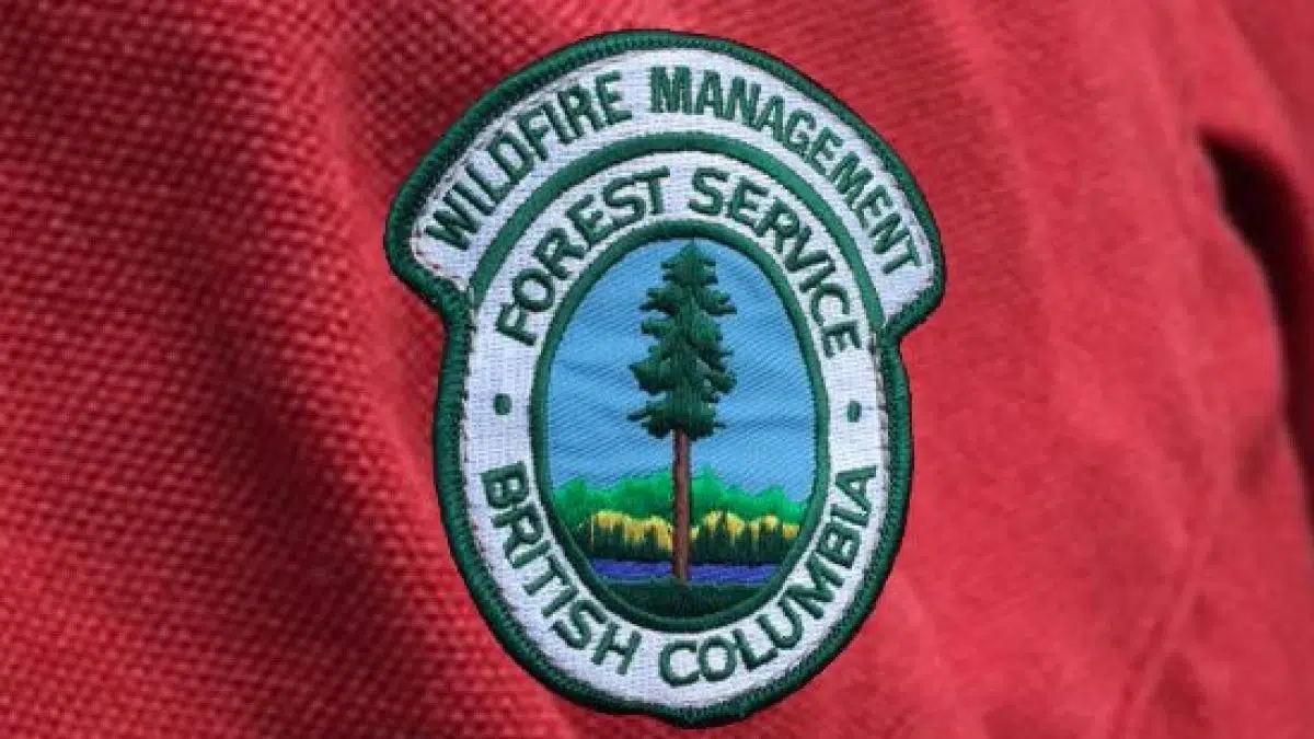 RCMP say BC Wildfire fighter killed by falling tree near Revelstoke ...