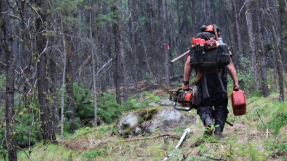 BC Wildfire Service recruiting new wildland firefighters ahead of 2024 ...