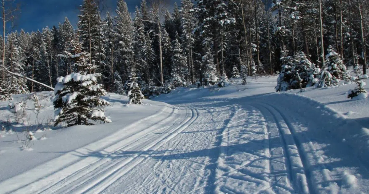 Stake Lake ski trails, Harper Mountain to open on January 6 | Radio NL ...