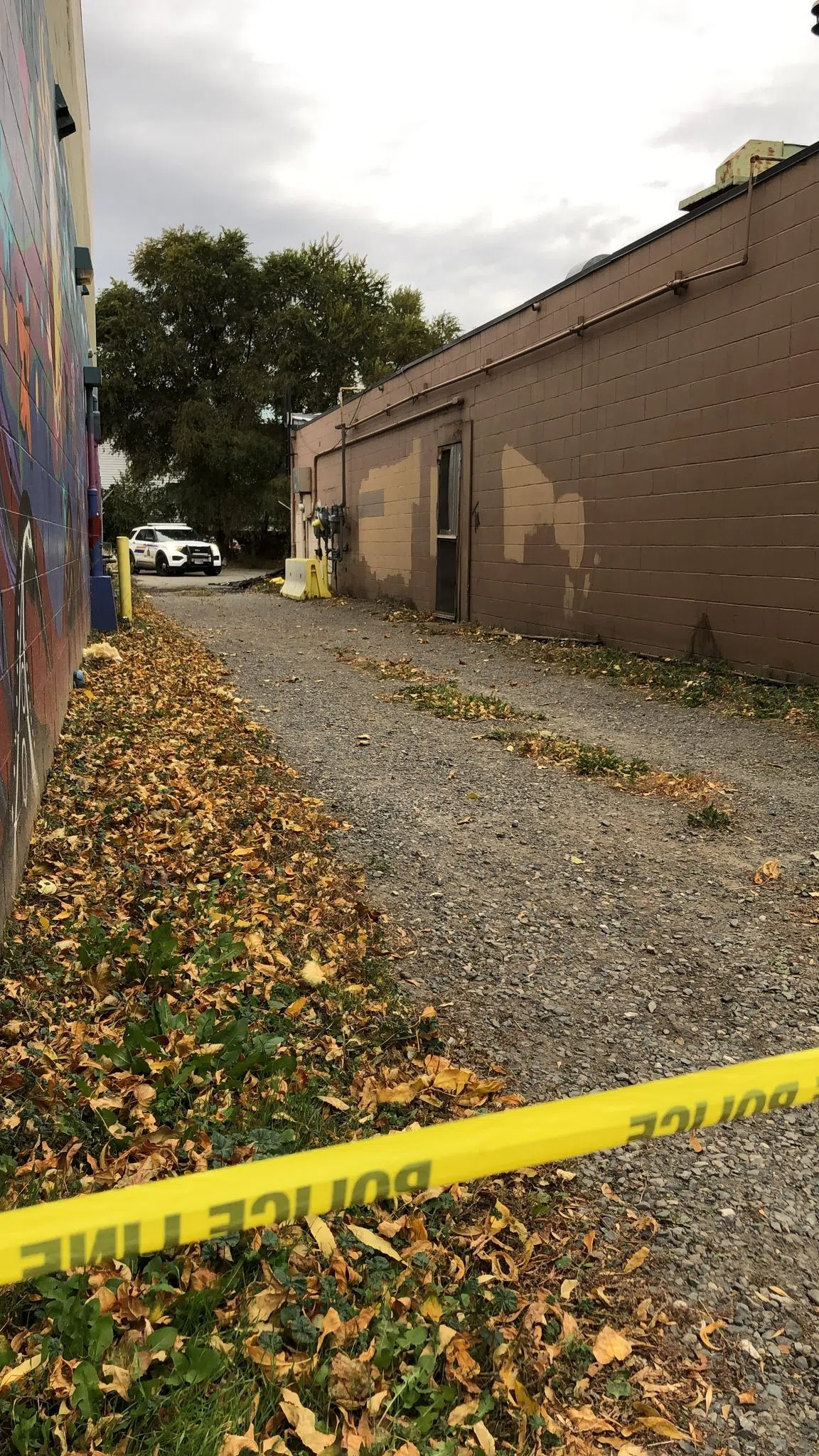 Person found dead after early Saturday fire on Kamloops North Shore ...