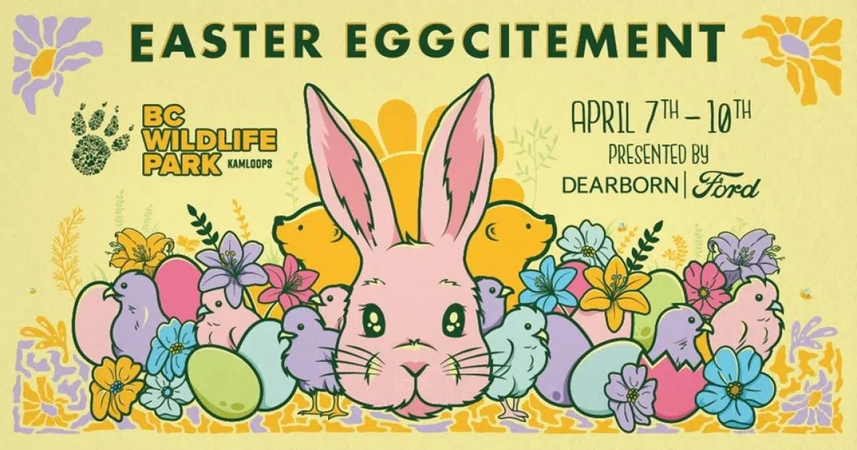 BC Wildlife Park’s annual Easter Egg hunt to feature Sensory Friendly ...