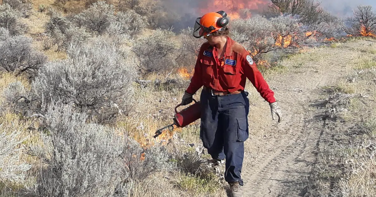 BC Wildfire Service to recruit over 400 firefighters across province in ...