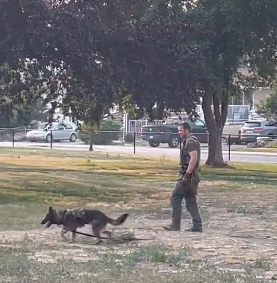 Kamloops RCMP still looking for witnesses after Monday shooting along ...