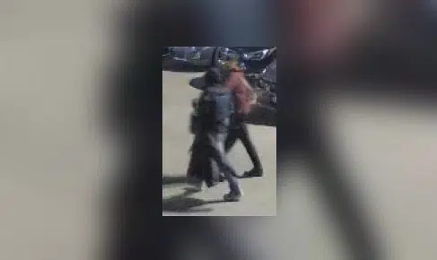 Kamloops RCMP looking for body armour stolen from marked police vehicle ...