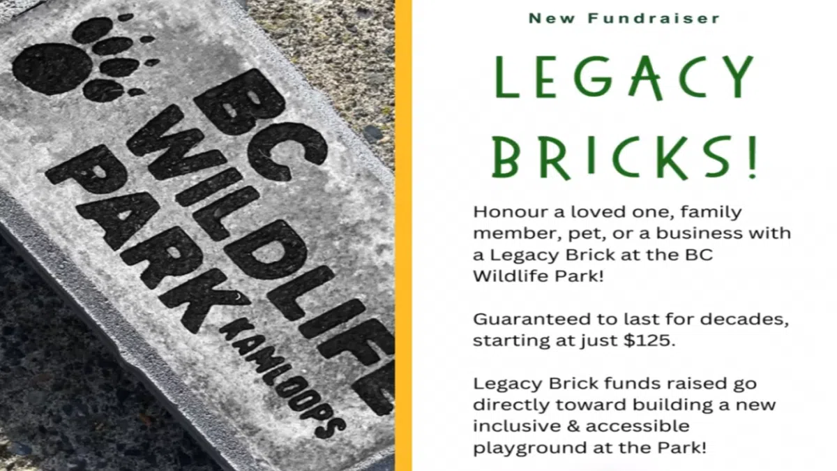 BC Wildlife Park launching new Legacy Bricks fundraiser for new ...