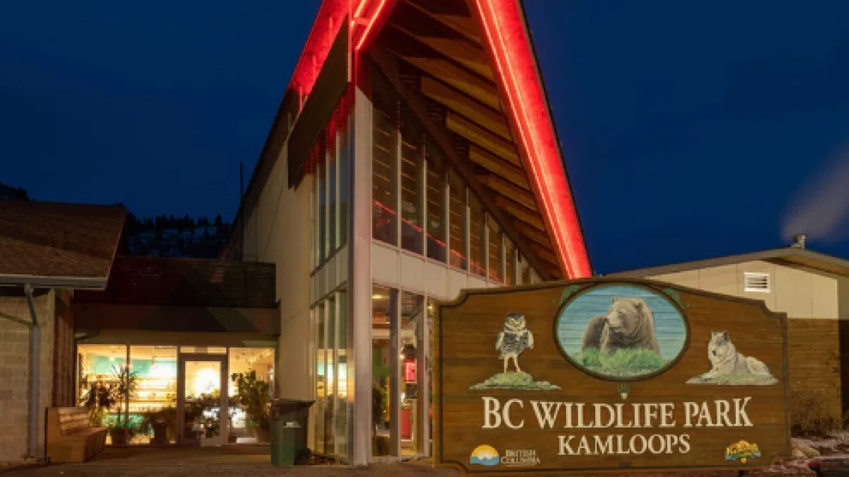 BC Wildlife Park expecting busy Easter long weekend | Radio NL ...