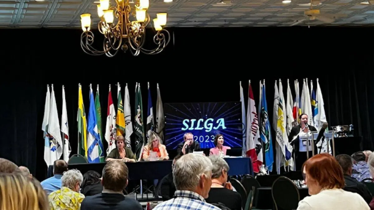 SILGA reps to debate protections for local politicians from themselves ...