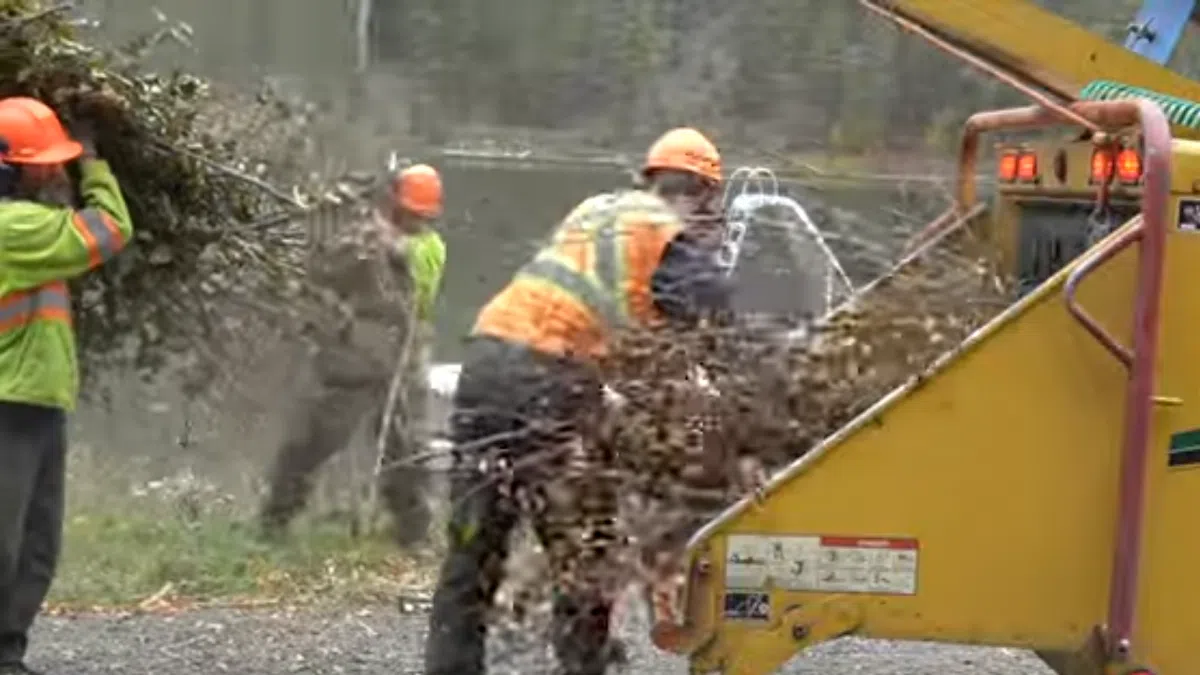 TNRD Hosting Free Chipping Days in Four Communities to Help Residents Reduce Wildfire Risk ...