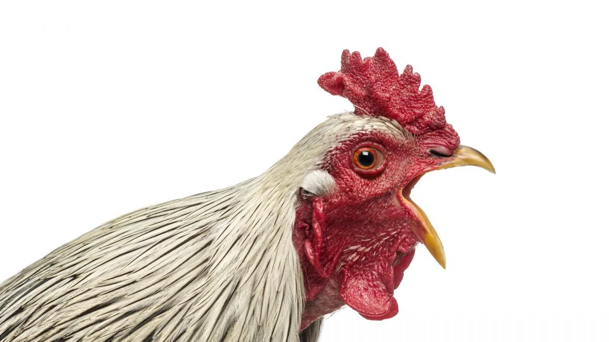 Spring forward! *March 9th* | 101.3 The River