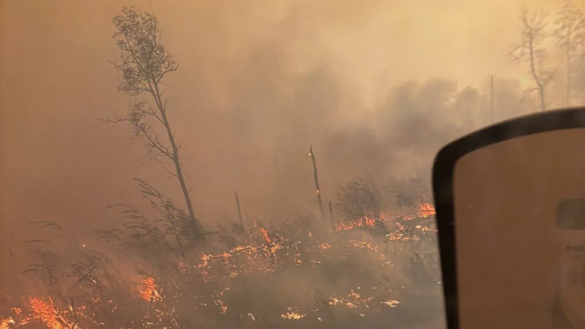 Wildfire photos | 98COOL