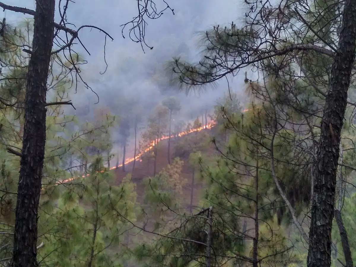 One active wildfire in Saskatchewan while BC battles growing forest ...