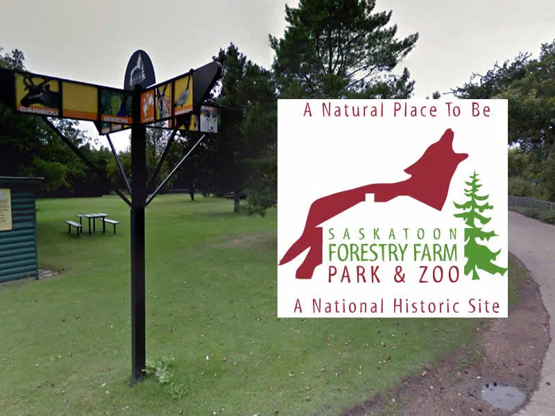 50 years and the zoo is still going strong | Country 600 CJWW