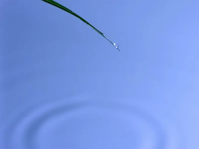 Lobstick Lake to Become Part of Ecological Reserve | Country 600 CJWW