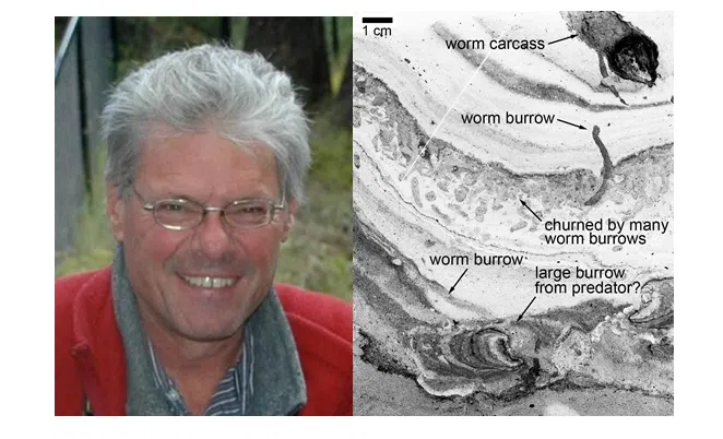 USask Researcher Discovers Prehistoric Worms | Country 600 CJWW
