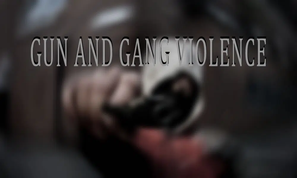 Battlefords Gang Task Force keeping drugs, weapons off the street ...