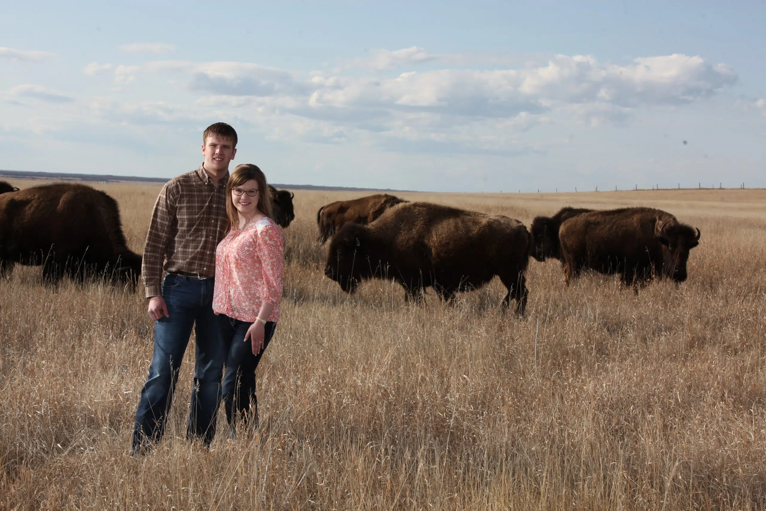 Bison Prices Fall 20 Percent During COVID-19 Pandemic | Country 600 CJWW