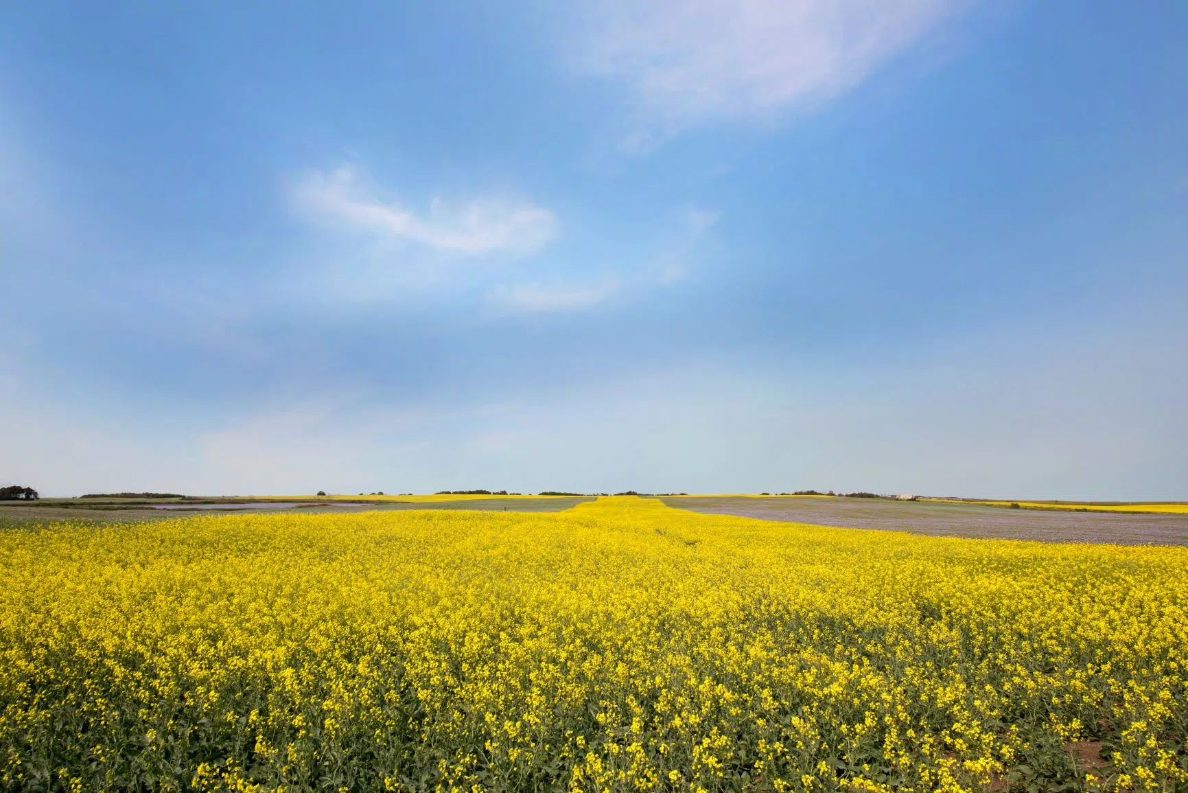 Sask Ag Weekly Crop Report | Country 600 CJWW