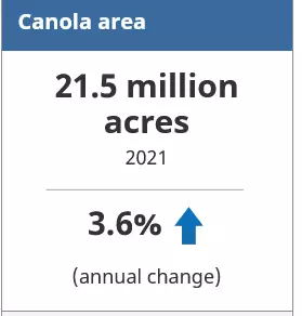 Canola Area Expected to Increase For First Time in Four Years | Country ...