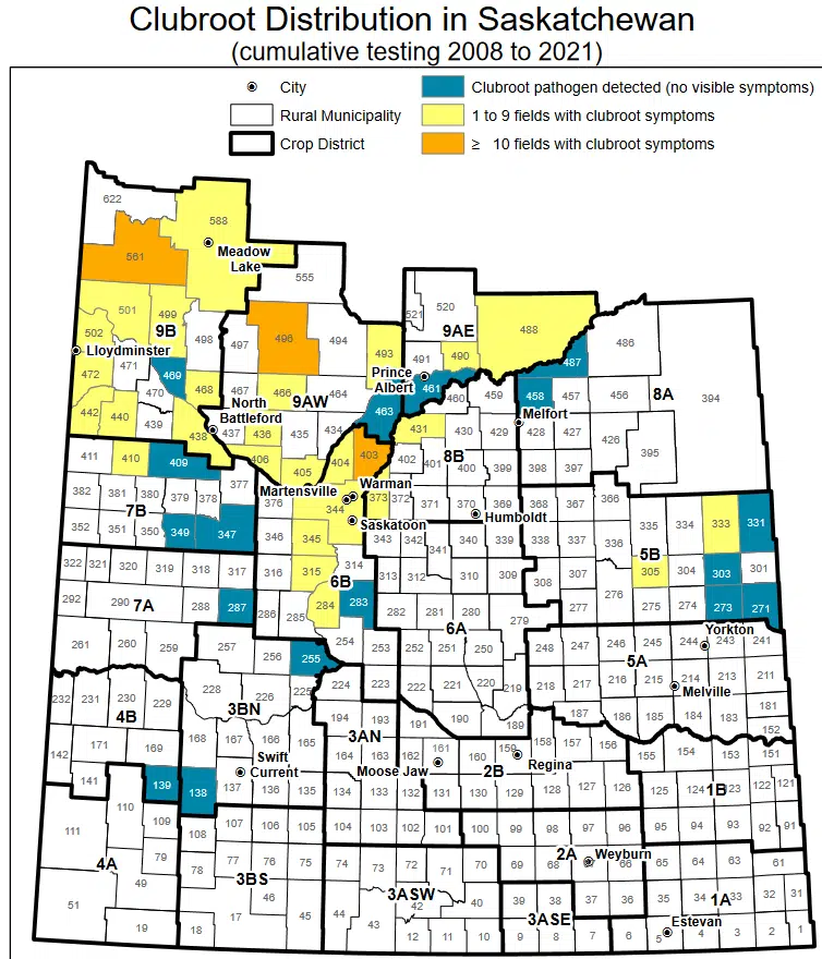 2021 Saskatchewan Clubroot Distribution Map Released | Country 600 CJWW