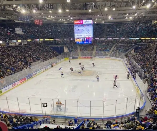 Pats’ Pyne Provides Problem For Blades Offence | Country 600 CJWW