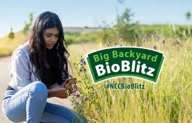 Canadians encouraged to get outdoors during long weekend Backyard ...