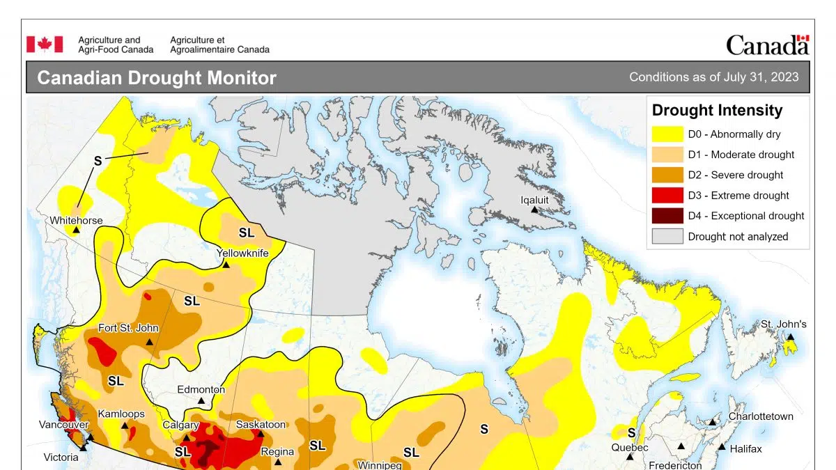 Assistance for livestock producers in Saskatchewan drought areas ...