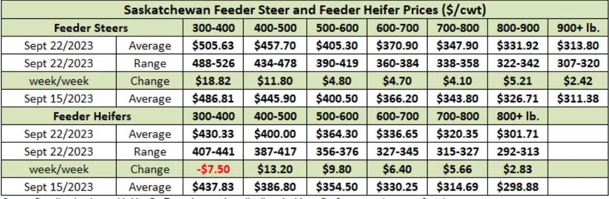 Feeder cattle prices rising while the slaughter cow market falters ...
