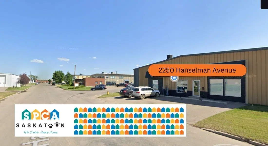 Saskatoon SPCA finds new home | Country 600 CJWW