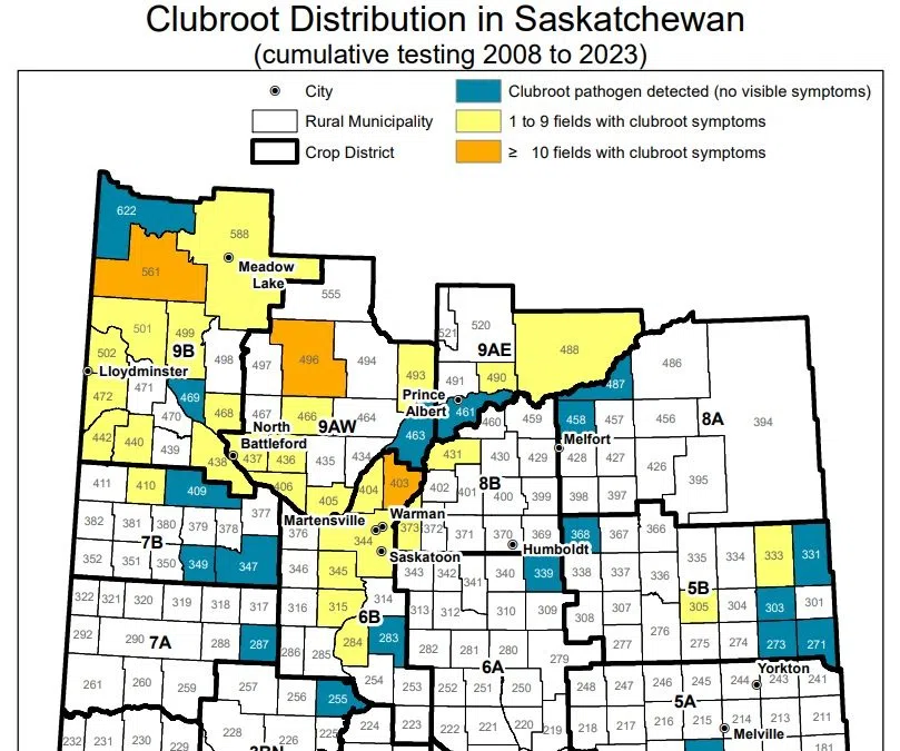 Little change in the 2023 clubroot survey map | Country 600 CJWW