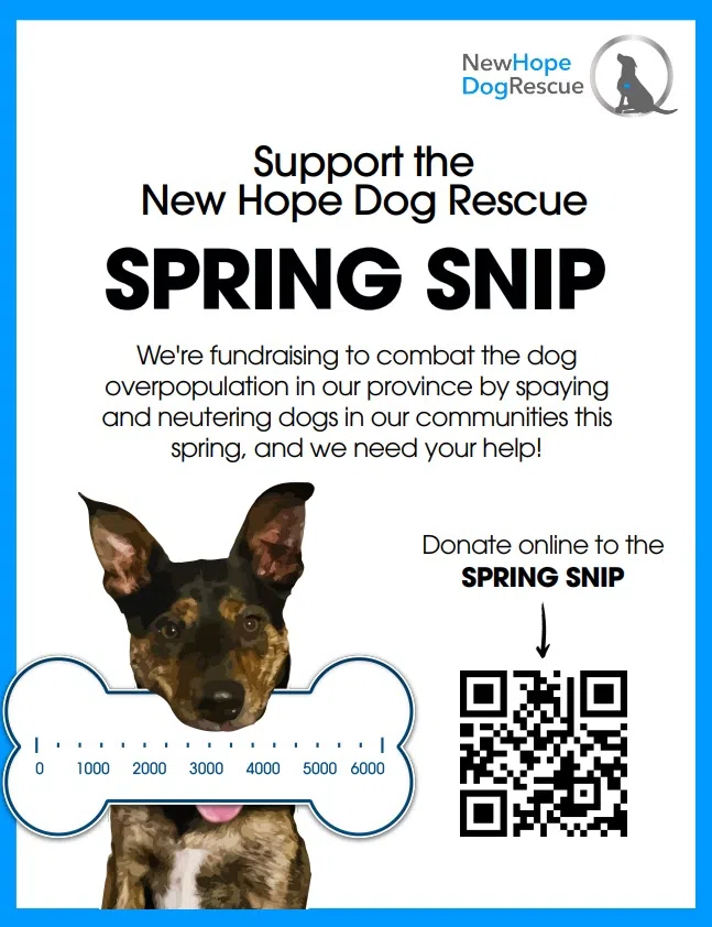 New Hope Dog Rescue launches Spring Snip campaign | Country 600 CJWW