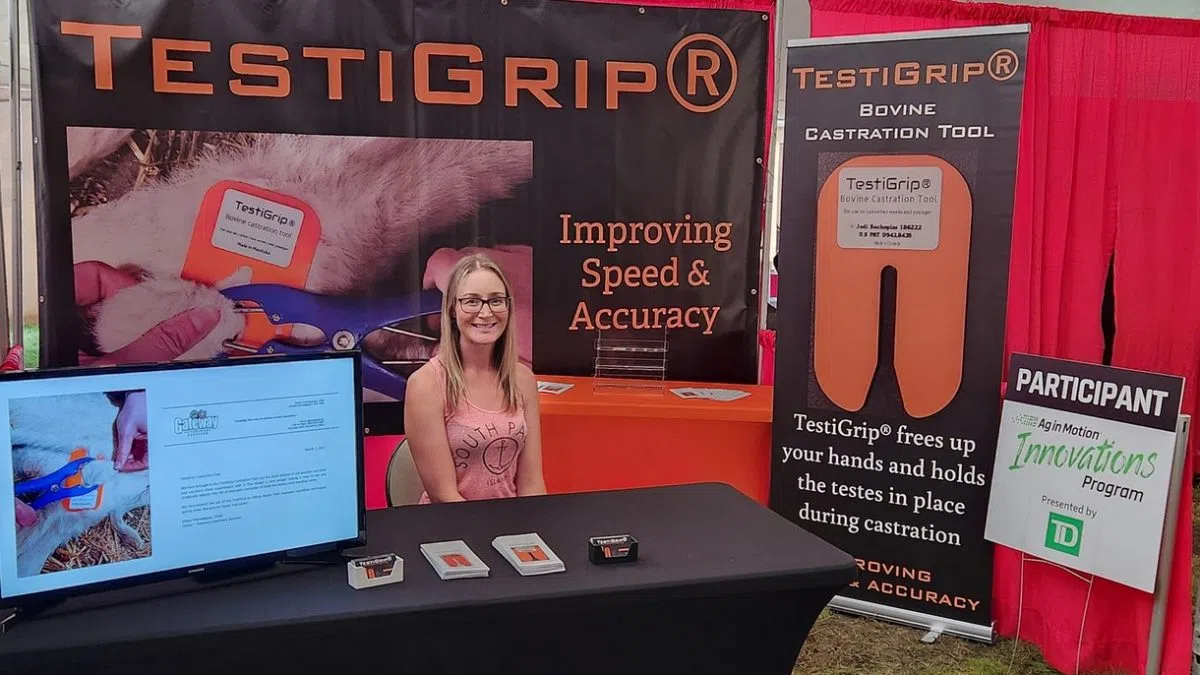 An easier method to castrate calves and lambs | Country 600 CJWW