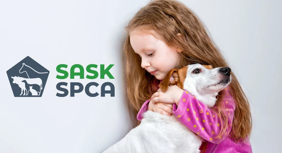 SK SPCA animal safekeeping | 92.9 The Bull