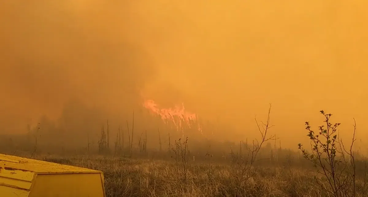 If you’ve lost important documentation in wildfires, there is help | Country 600 CJWW