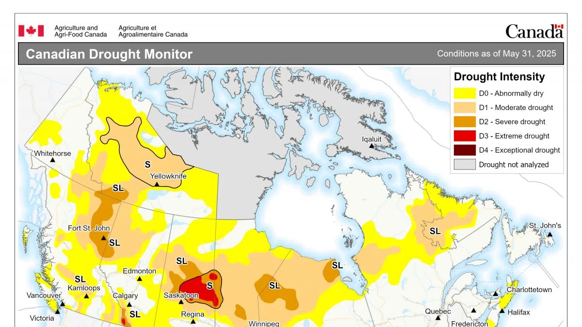 New Agriculture and Agri-Food Canada Drought Map shows how badly rain ...