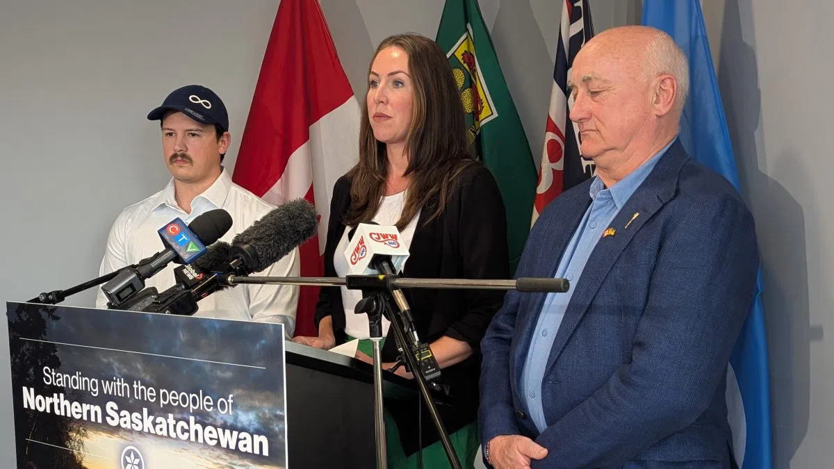 Saskatchewan NDP say small businesses impacted from wildfires need ...