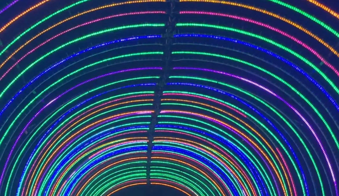 Portion of funds from Enchanted Forest going to the bear display at the ...