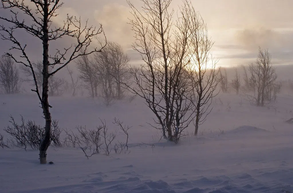 Environment Canada says wind could gust over 90 kilometres per hour as ...