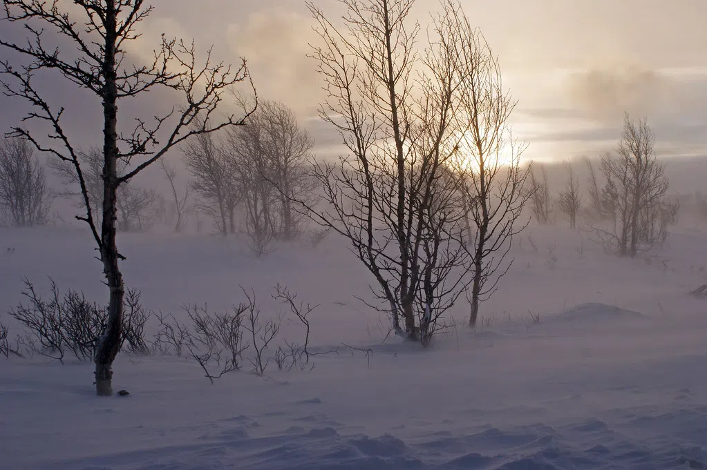 Environment Canada says wind could gust over 90 kilometres per hour as ...