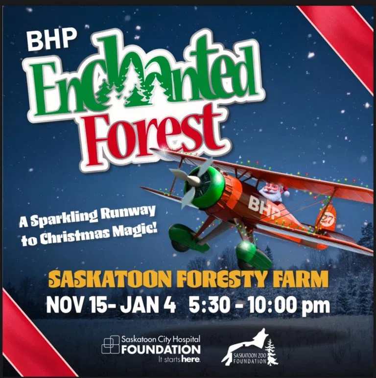 Interview: The BHP Enchanted Forest | 92.9 The Bull