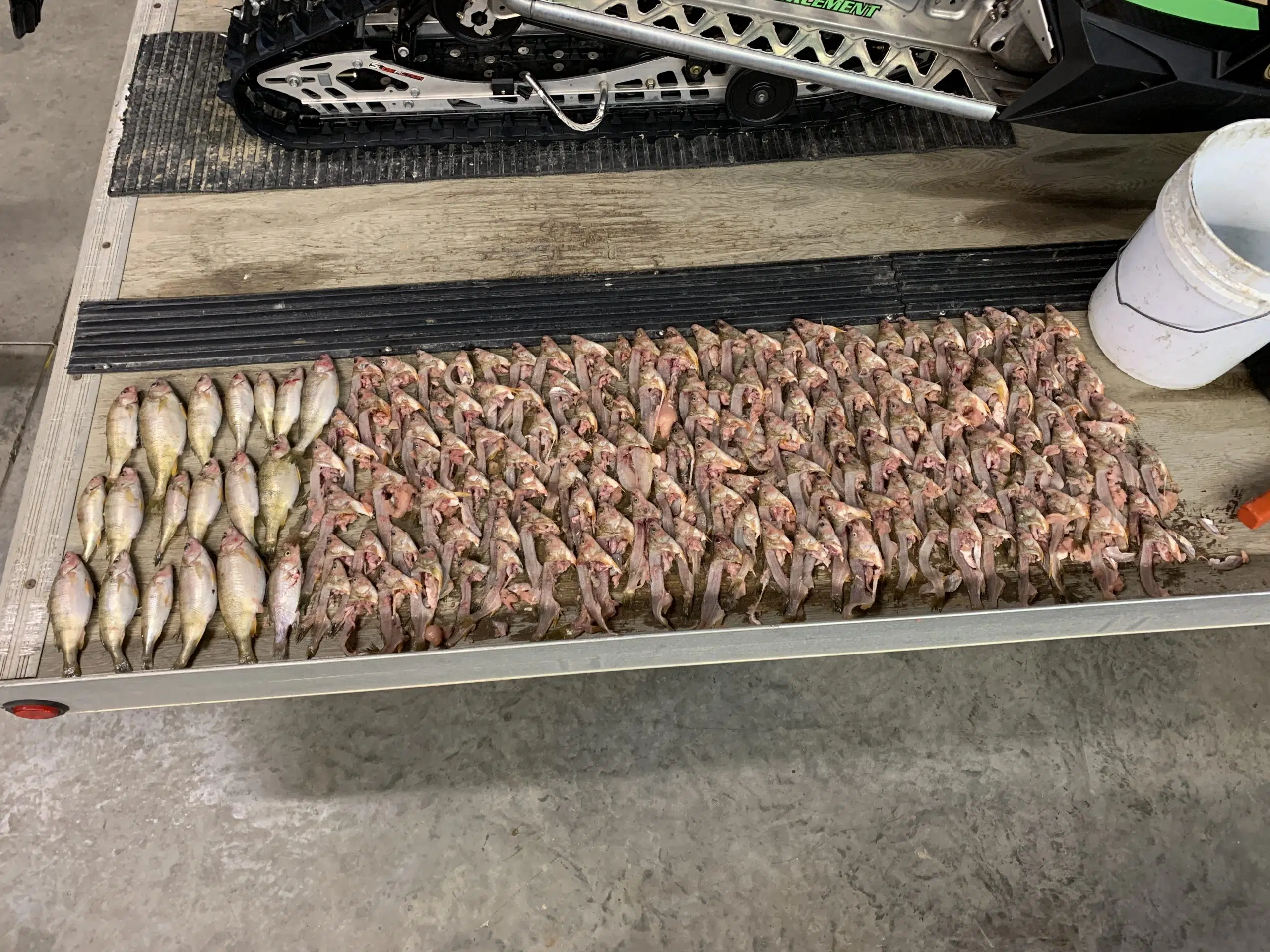 Downstate Men Charged With Poaching Hundreds Of Fish ...